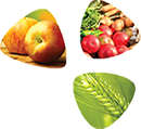 Zaštita paprike | Plan zaštite paprike | Agroarm